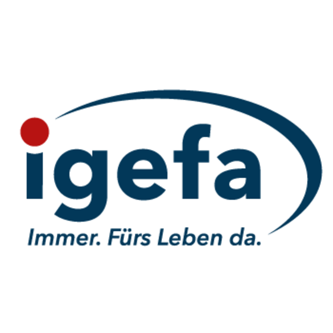 IGEFA Handelsgesellschaft mbH & Co. KG - PROSUM GmbH